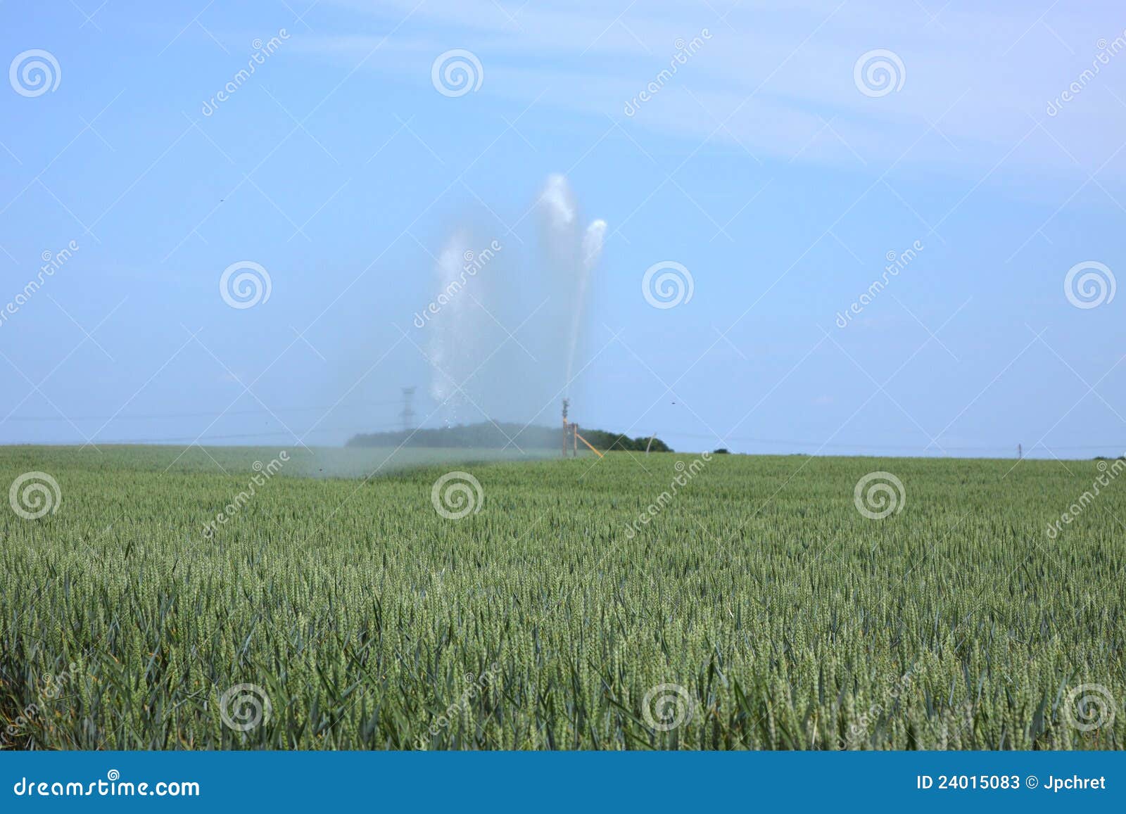 Watering of wheat fields stock image. Image of industrial - 24015083