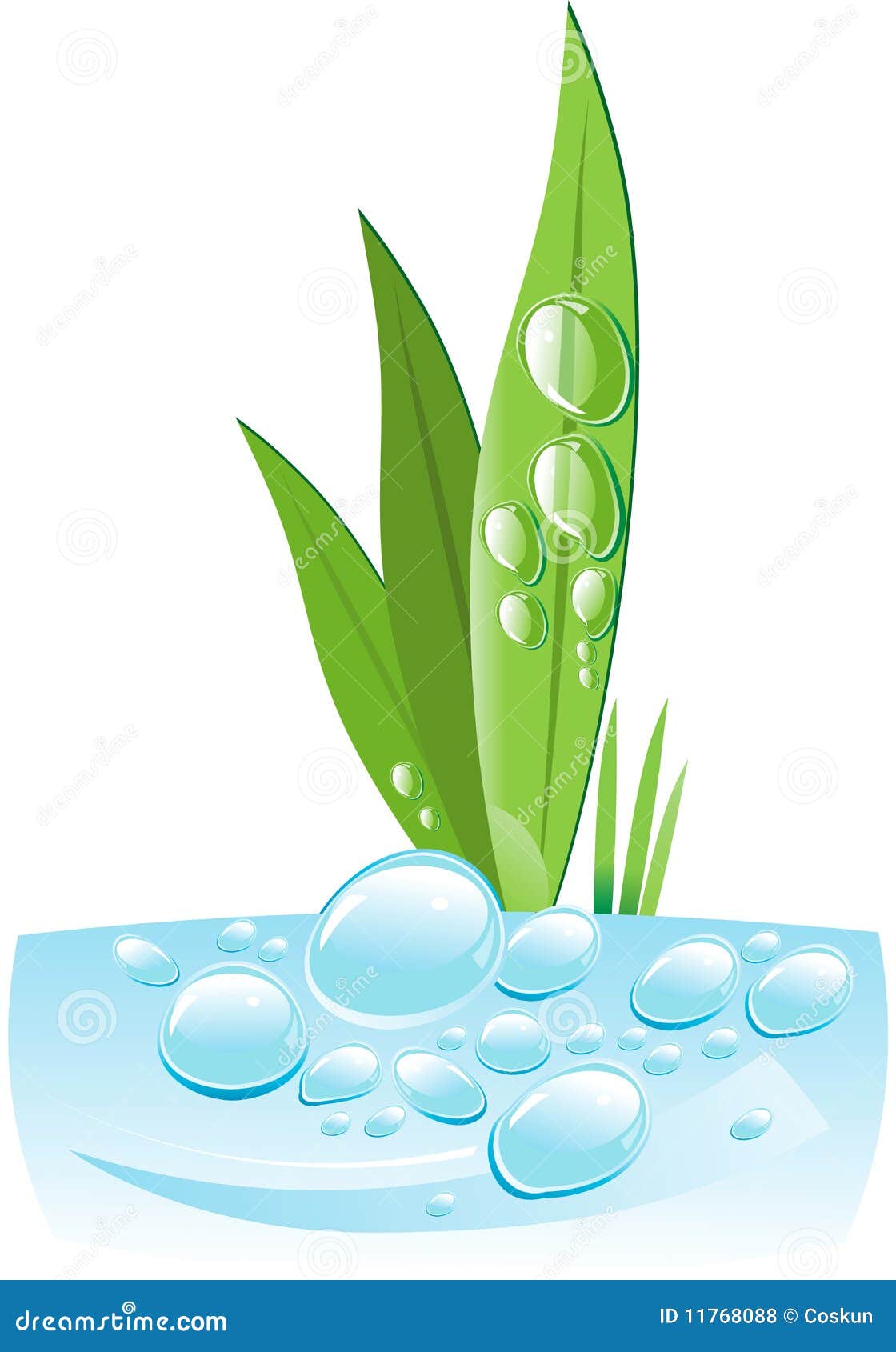 Waterleaf.eps stock vector. Illustration of drops, abstract - 11768088