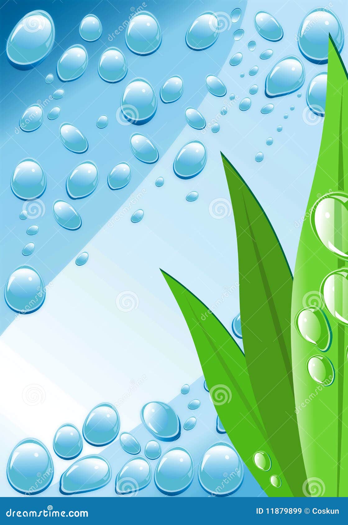 Waterleaf.pic stock illustration. Illustration of blue - 11879899