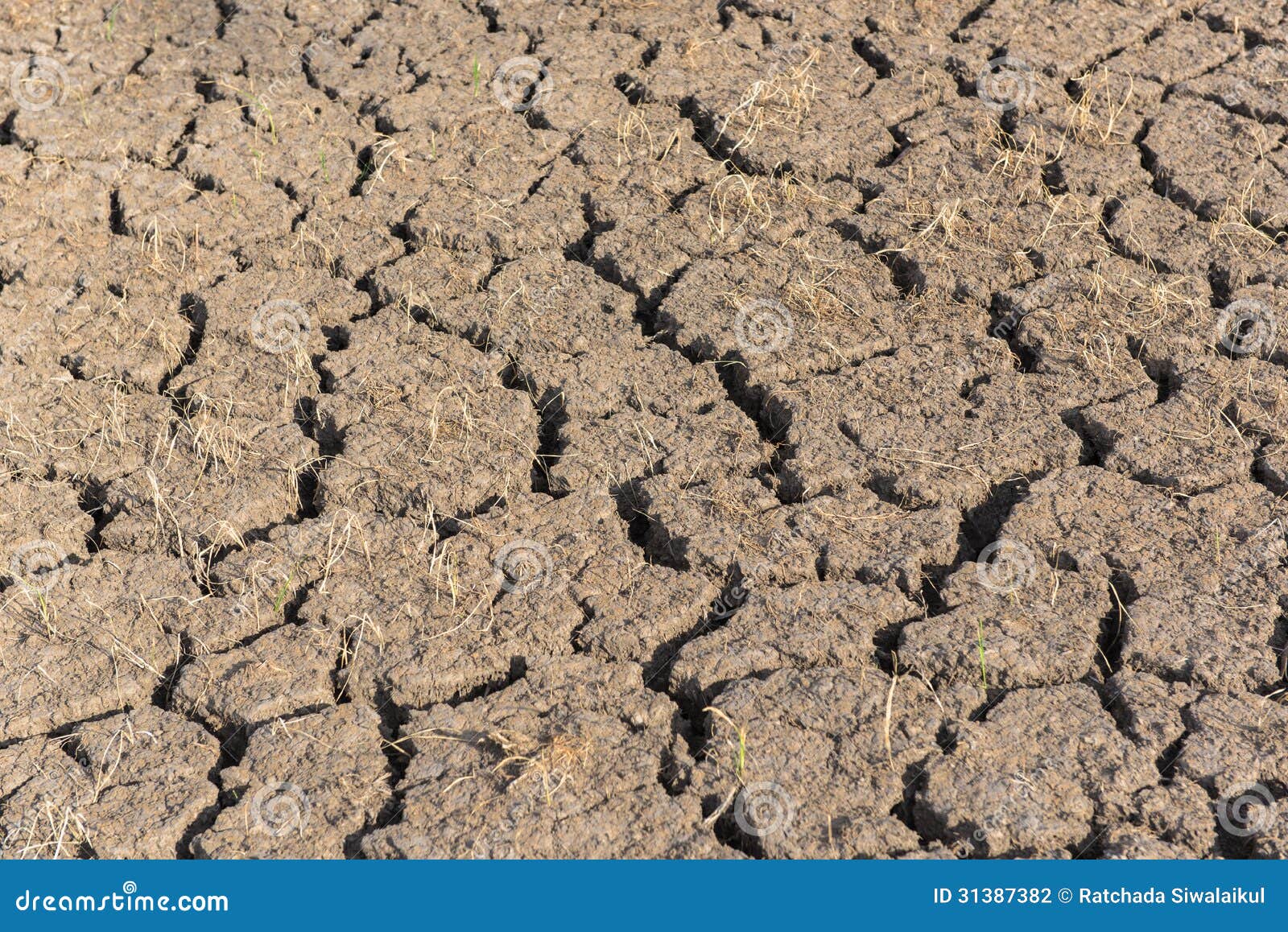 Waterless land stock photo. Image of drought, waterless - 31387382