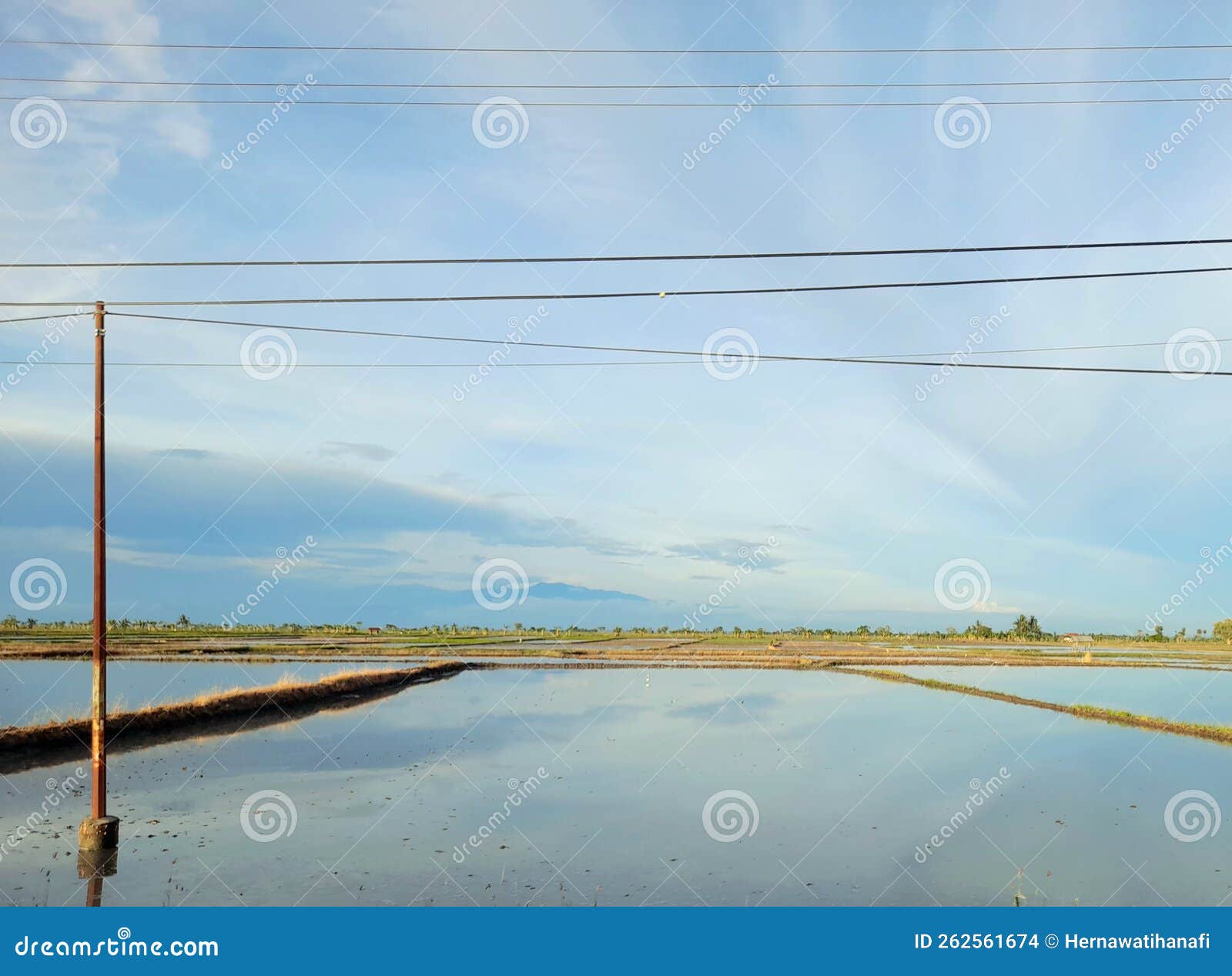 Waterlogged fields stock photo. Image of shore, wetland - 262561674