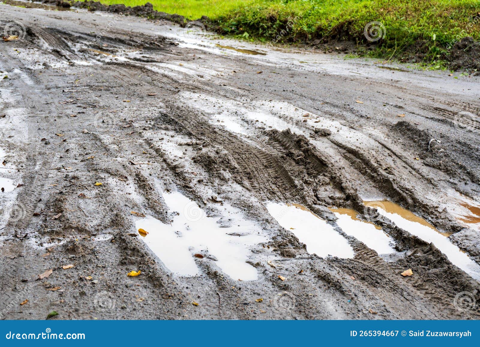Waterlogged Sandy Path at a Park with the Multiple Vehicle S Tracks ...