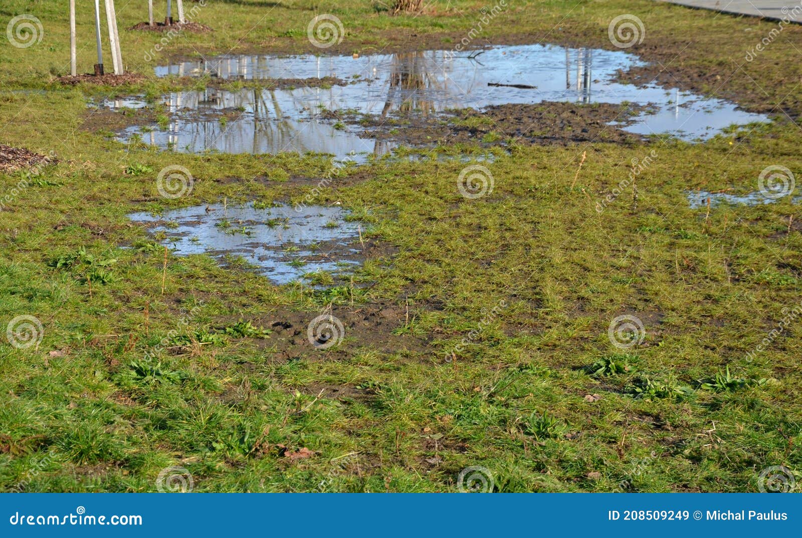 The Waterlogged Soil In The Park Does Not Receive Water From The Spring ...