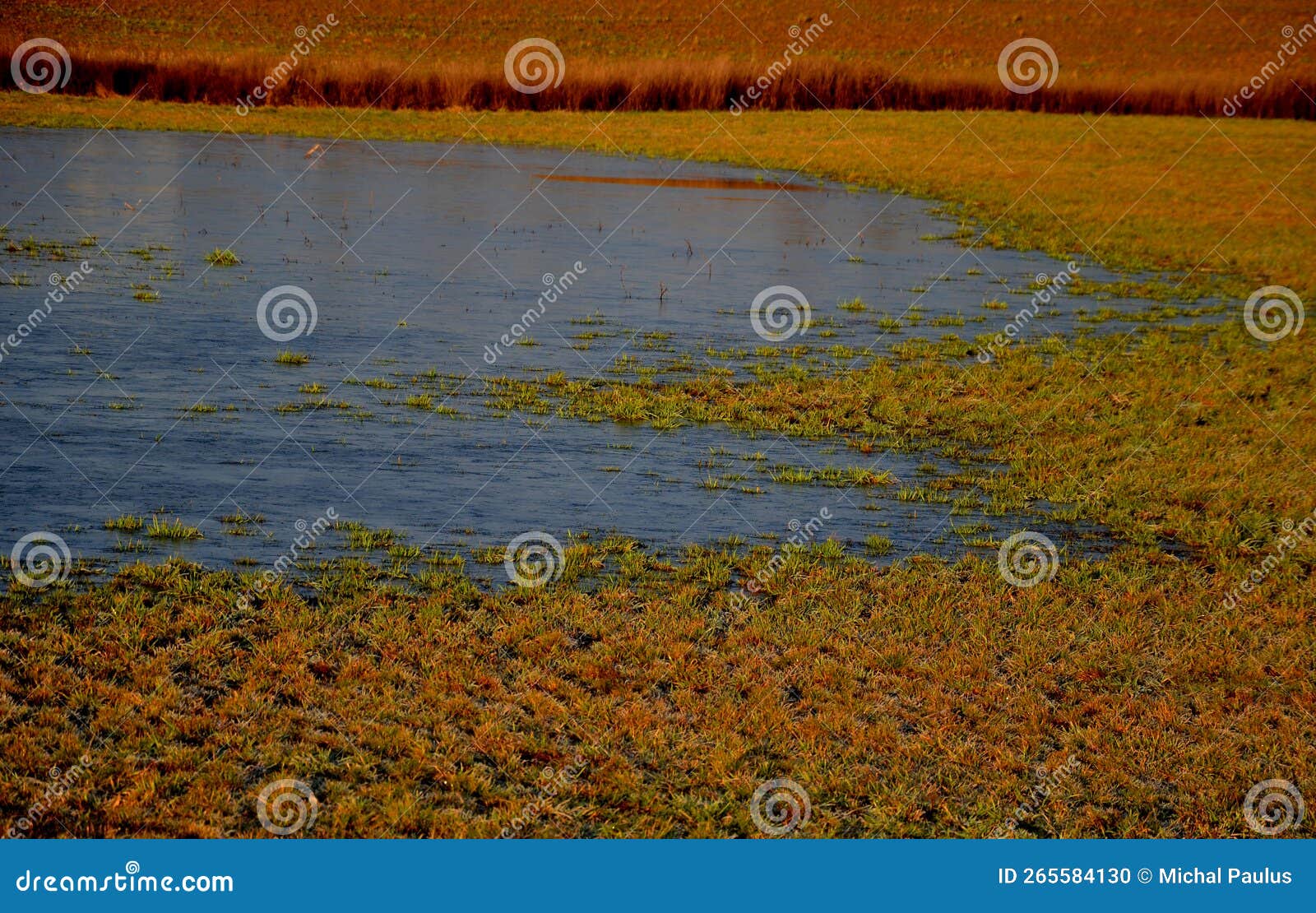 The Waterlogged Soil in the Park Does Not Receive Water from the Spring ...