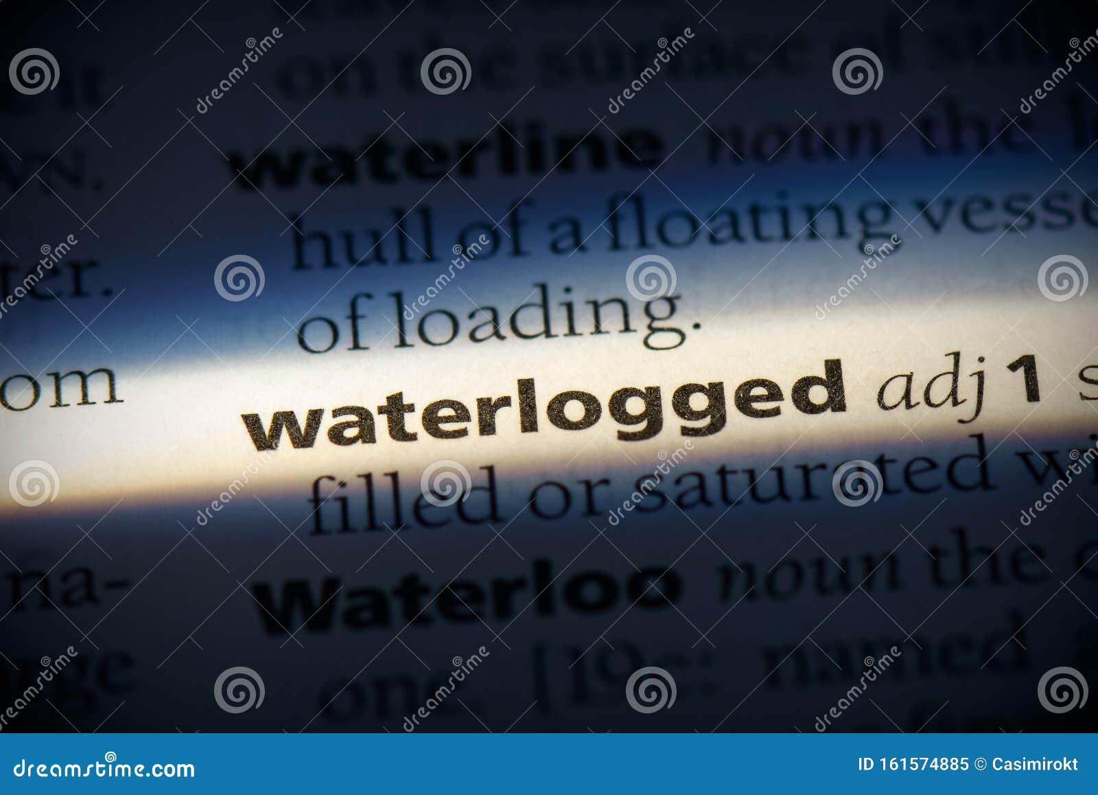Waterlogged stock image. Image of macro, english, education - 161574885