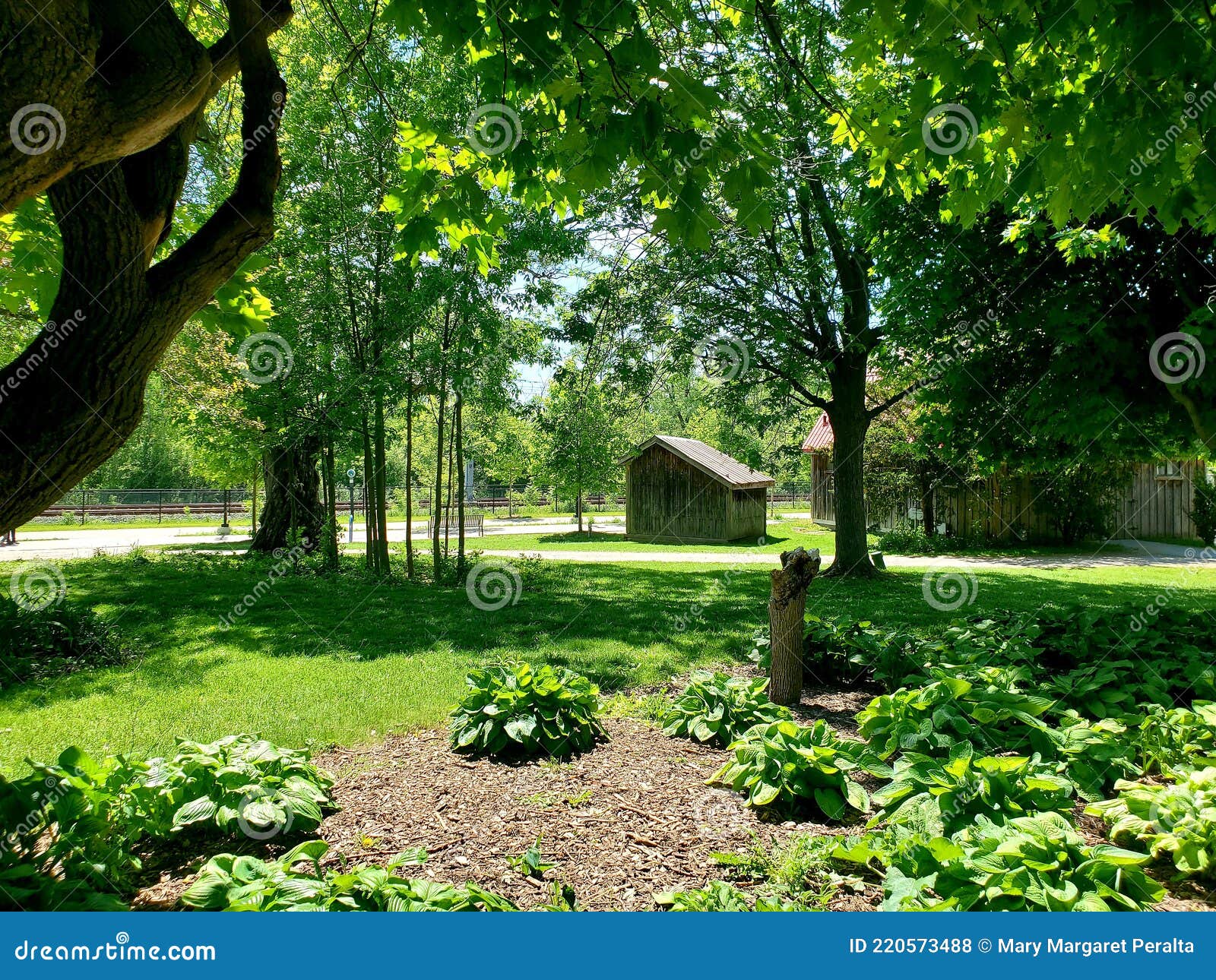 Green of Waterloo Park stock photo. Image of garden - 220573488