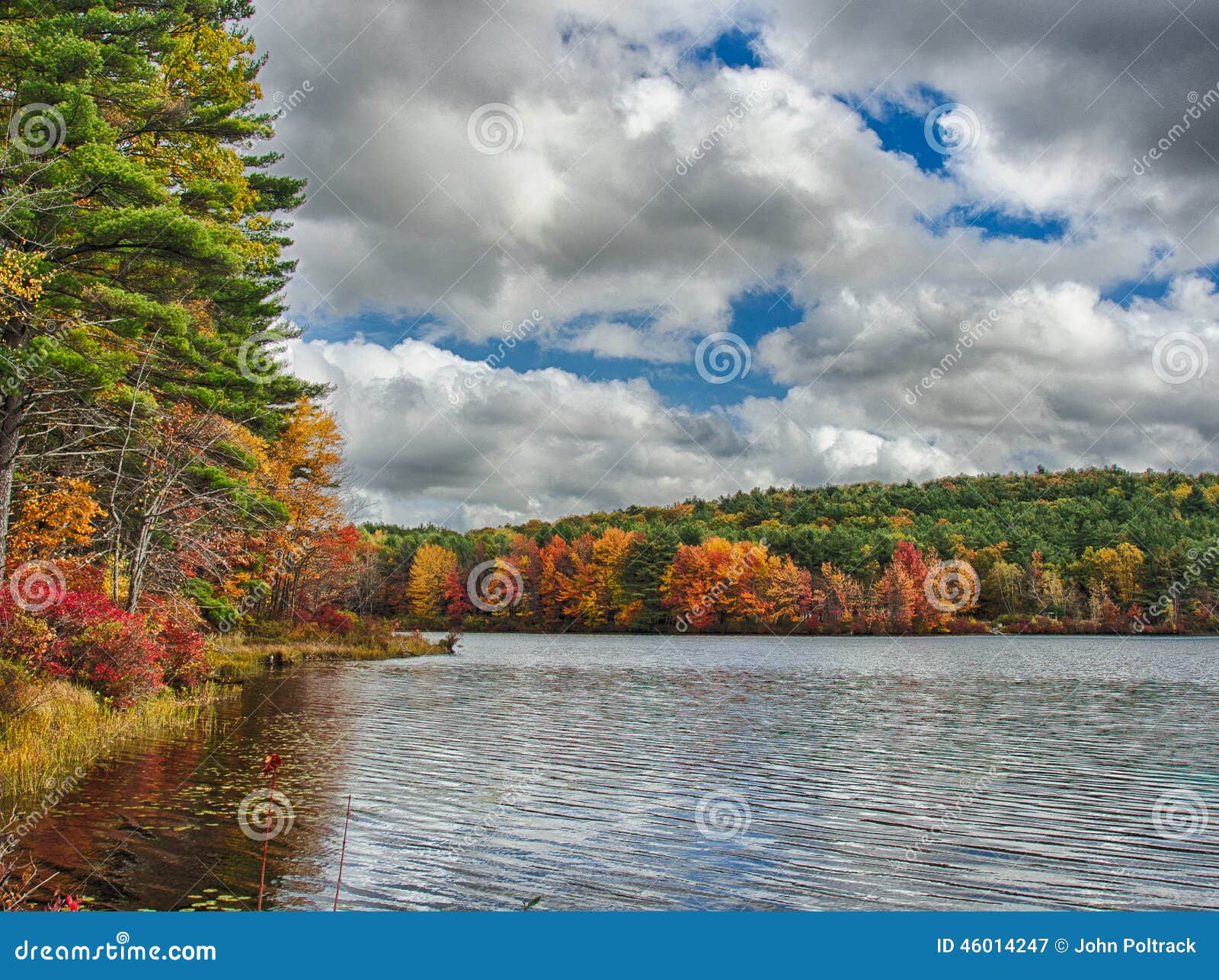 Waterloom池塘 库存图片. 图片 包括有 摄影, 织布机, 池塘, 新建, 秋天, 季节, 伊普斯维奇 - 46014247