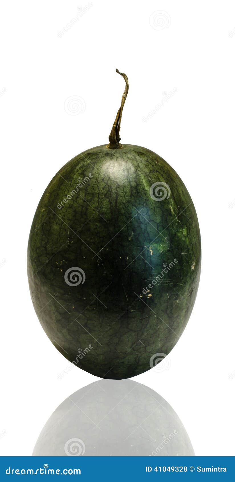 Watermalon stock photo. Image of nutrition, object, healthy - 41049328