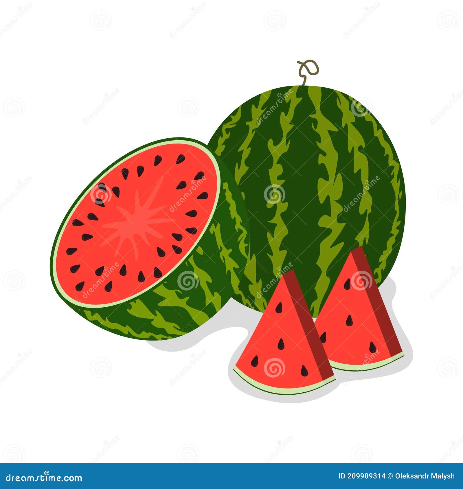 Watermellon Icon Set Vector Illustration Design Isolated Stock Vector ...