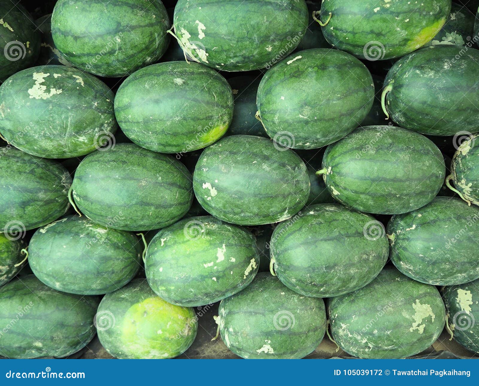 Watermeloen stock foto. Image of sappig, versheid, meloen - 105039172