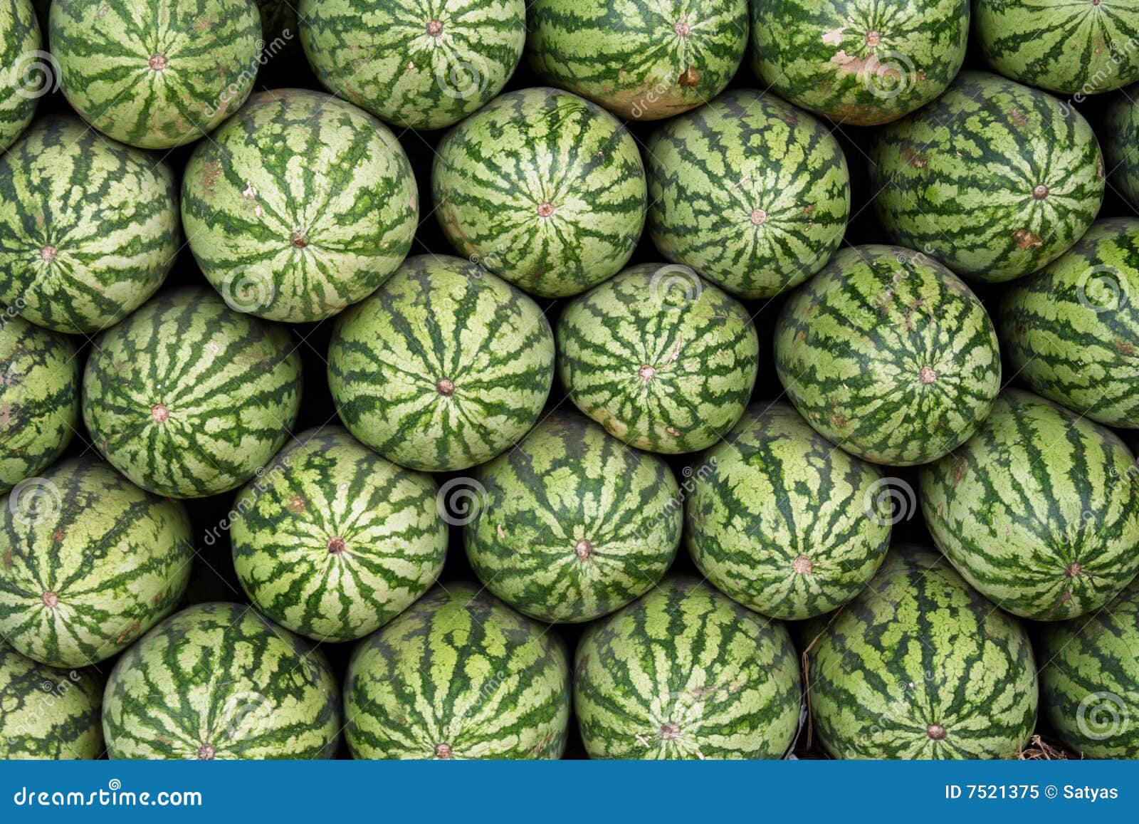 Watermeloenen stock afbeelding. Image of hoop, verkoop - 7521375