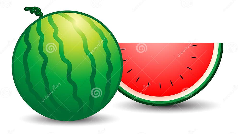 Watermelon stock vector. Illustration of green, avatar - 1137895