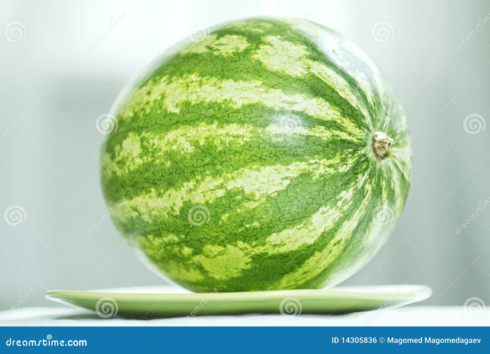 Watermelon stock photo. Image of focus, selective, horizontal - 14305836