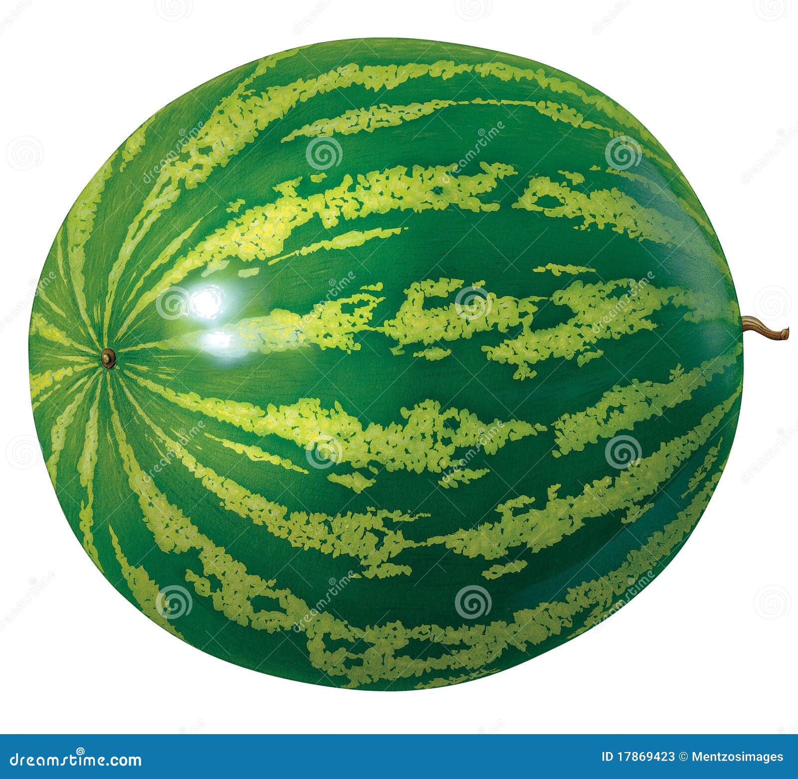 Shiny Watermelon Stock Illustrations – 622 Shiny Watermelon Stock ...