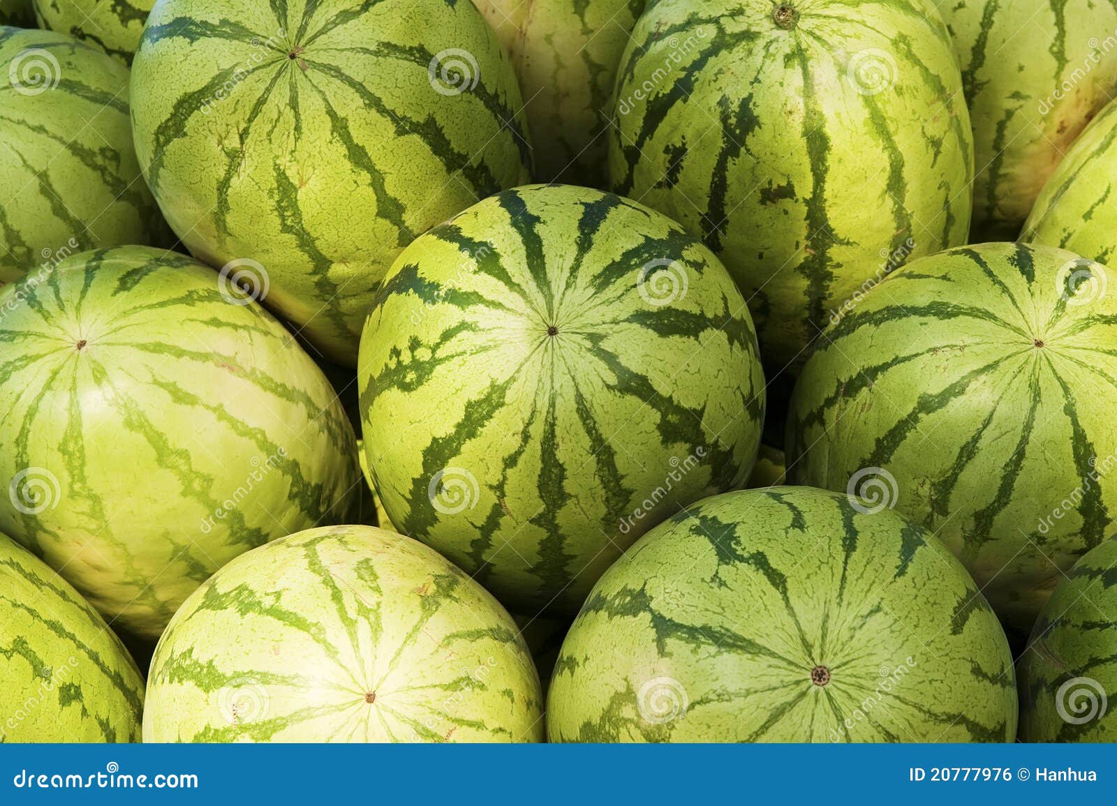 Watermelon stock photo. Image of watermelon, shanghai - 20777976