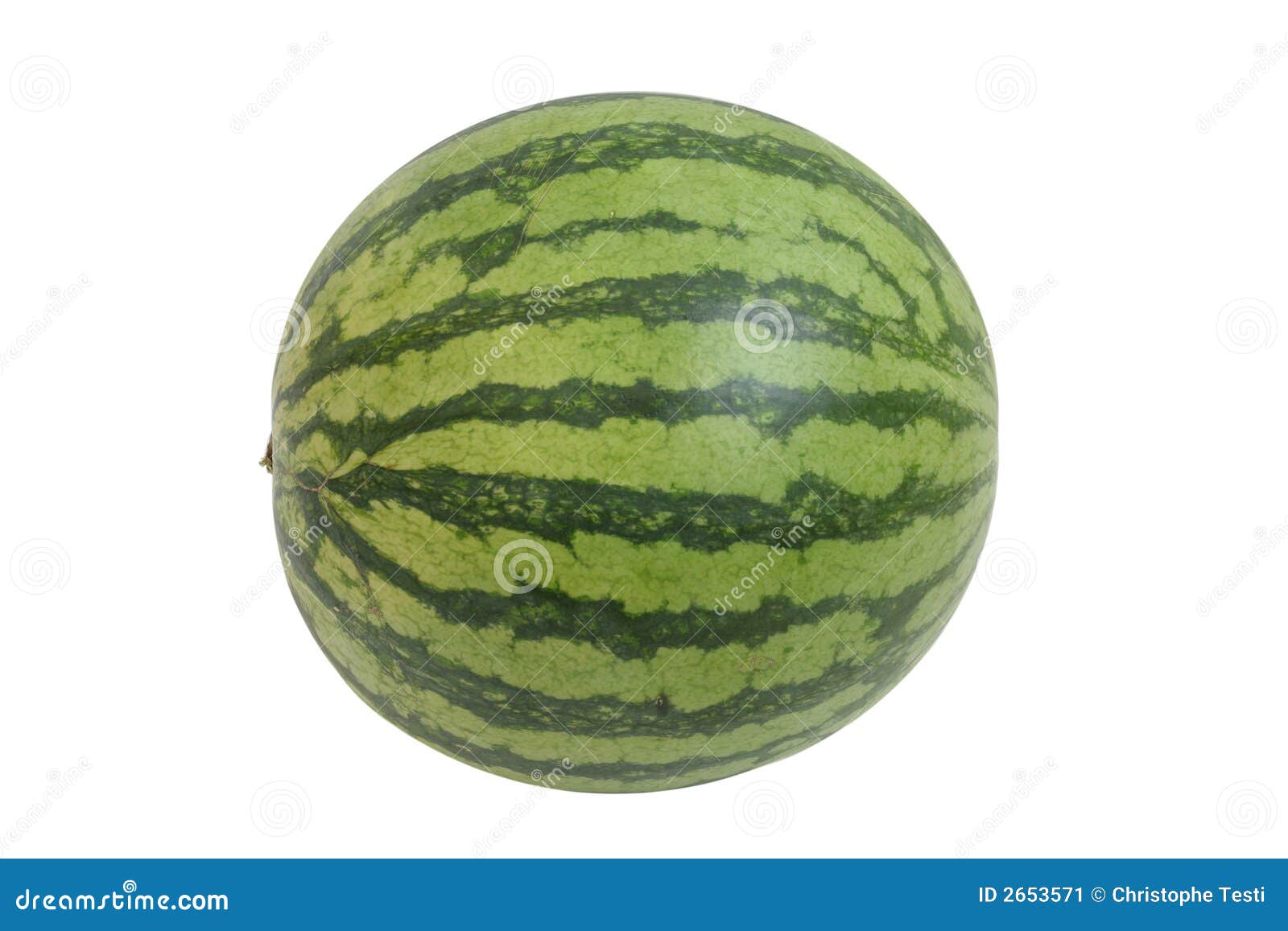 Watermelon stock image. Image of organic, round, watermelon - 2653571