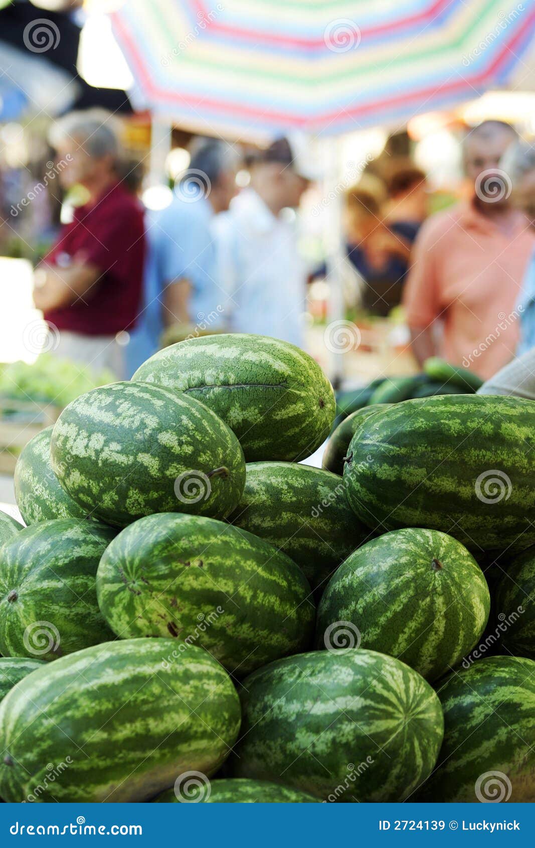 Watermelon stock image. Image of green, melon, fruit, farming - 2724139