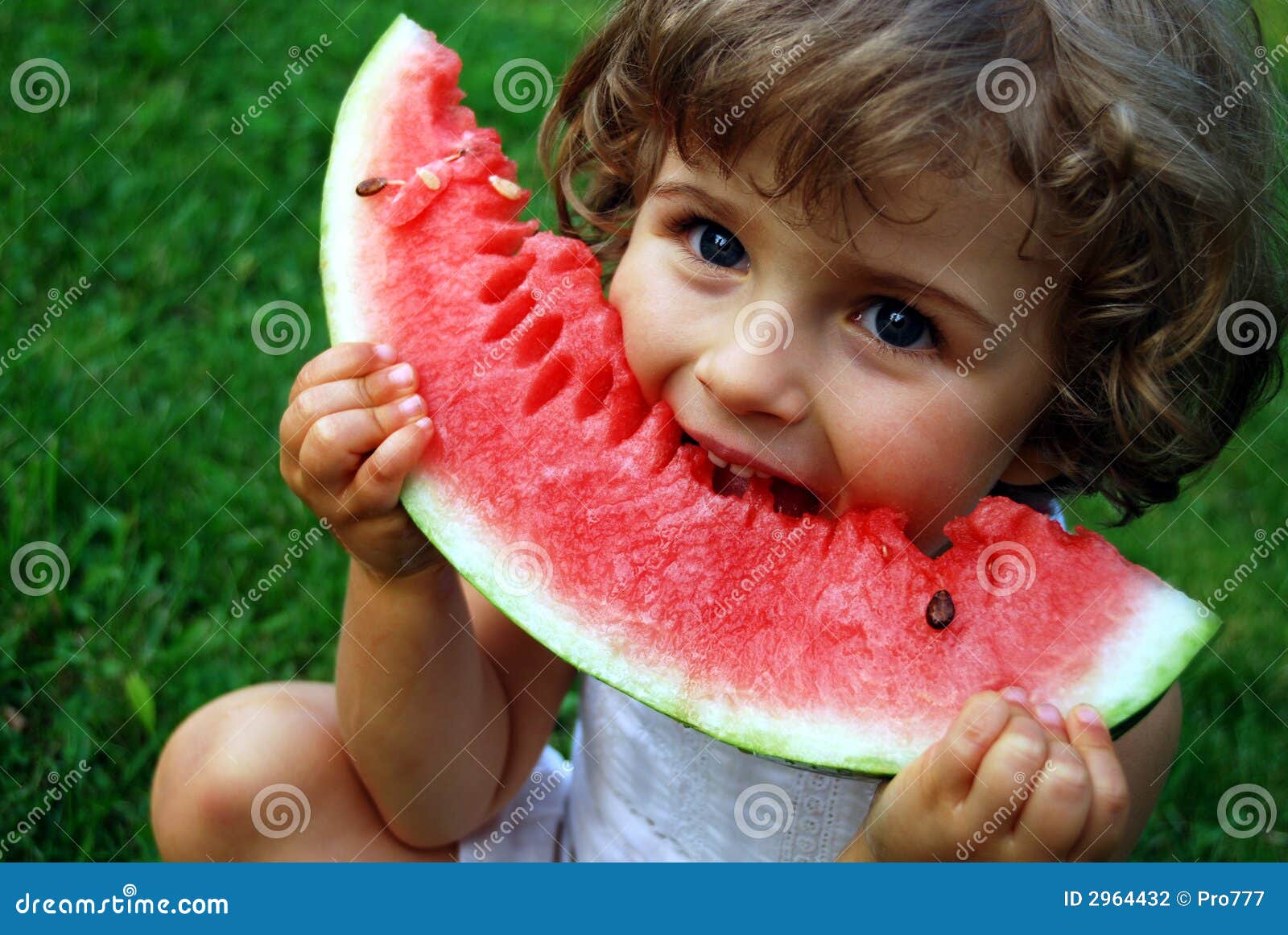Watermelon stock photo. Image of blue, detail, attractive - 2964432