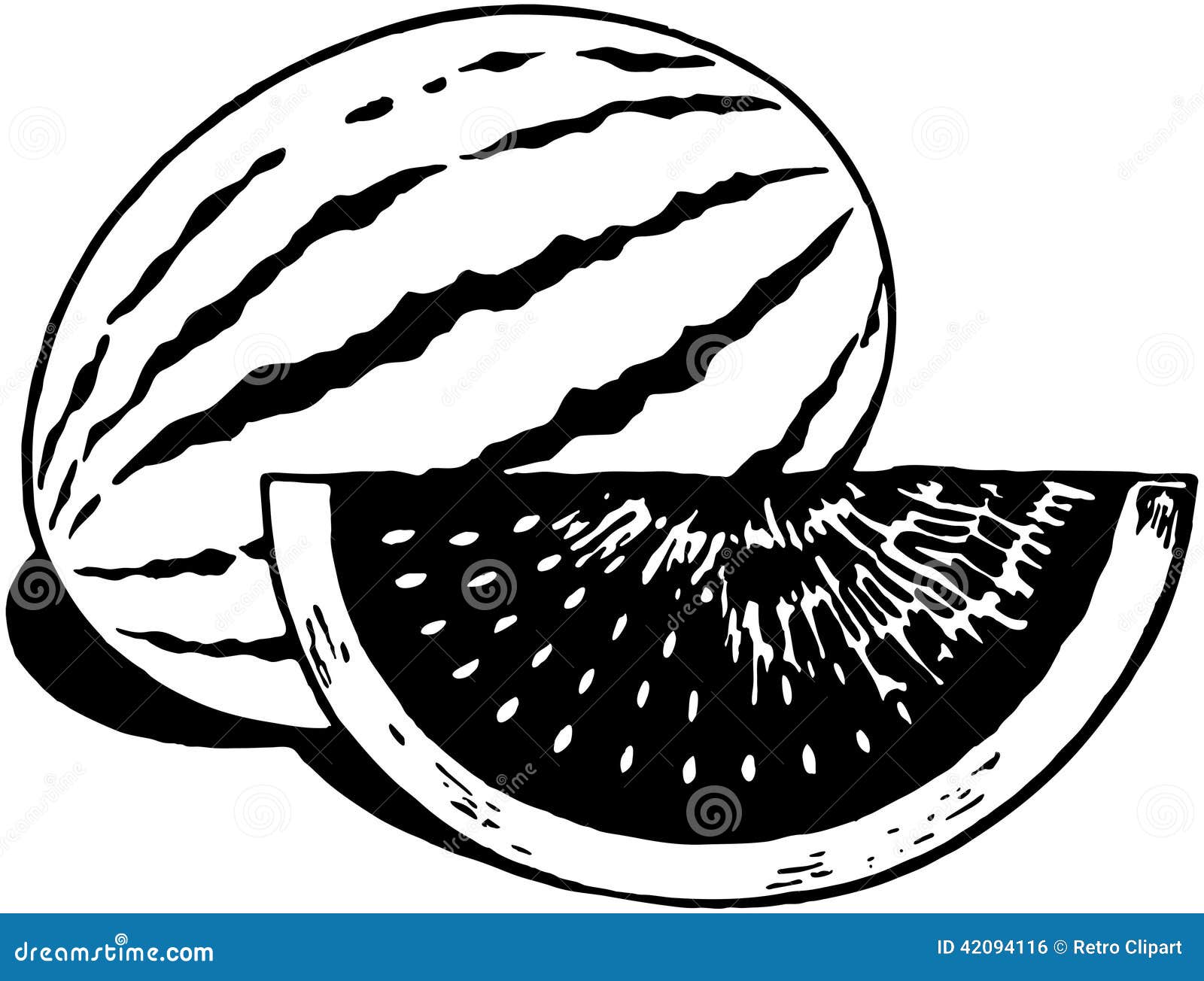 Watermelon stock vector. Illustration of groceries, 1940s - 42094116