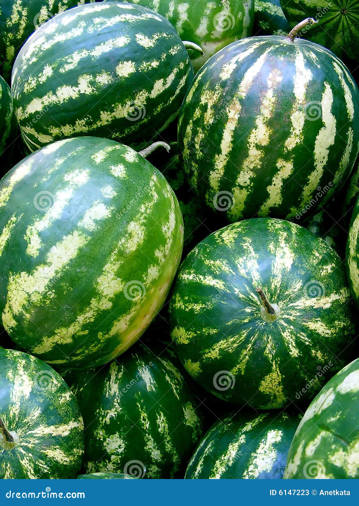 Watermelon stock image. Image of market, agriculture, watermelons - 6147223