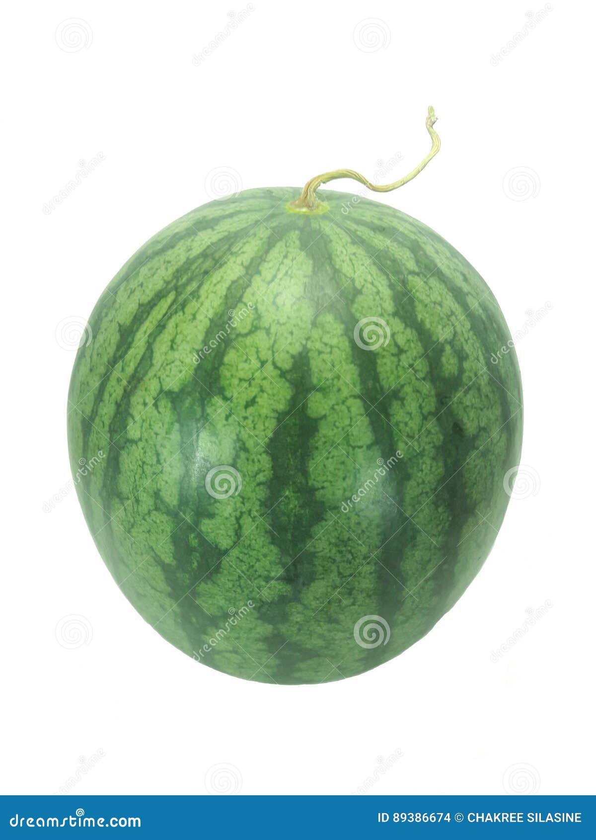 It is watermelon. stock photo. Image of fresh, melon - 89386674