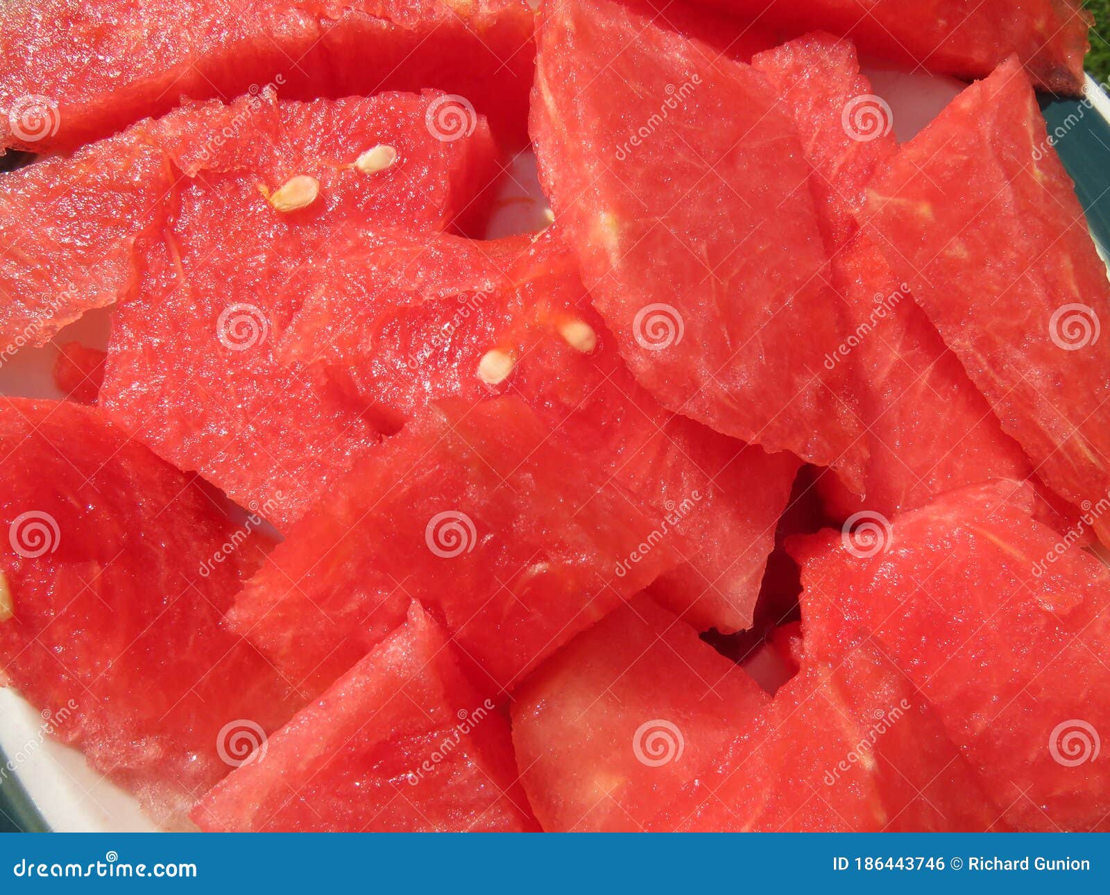 Watermelon Bites on a Plate Stock Photo - Image of served, food: 186443746
