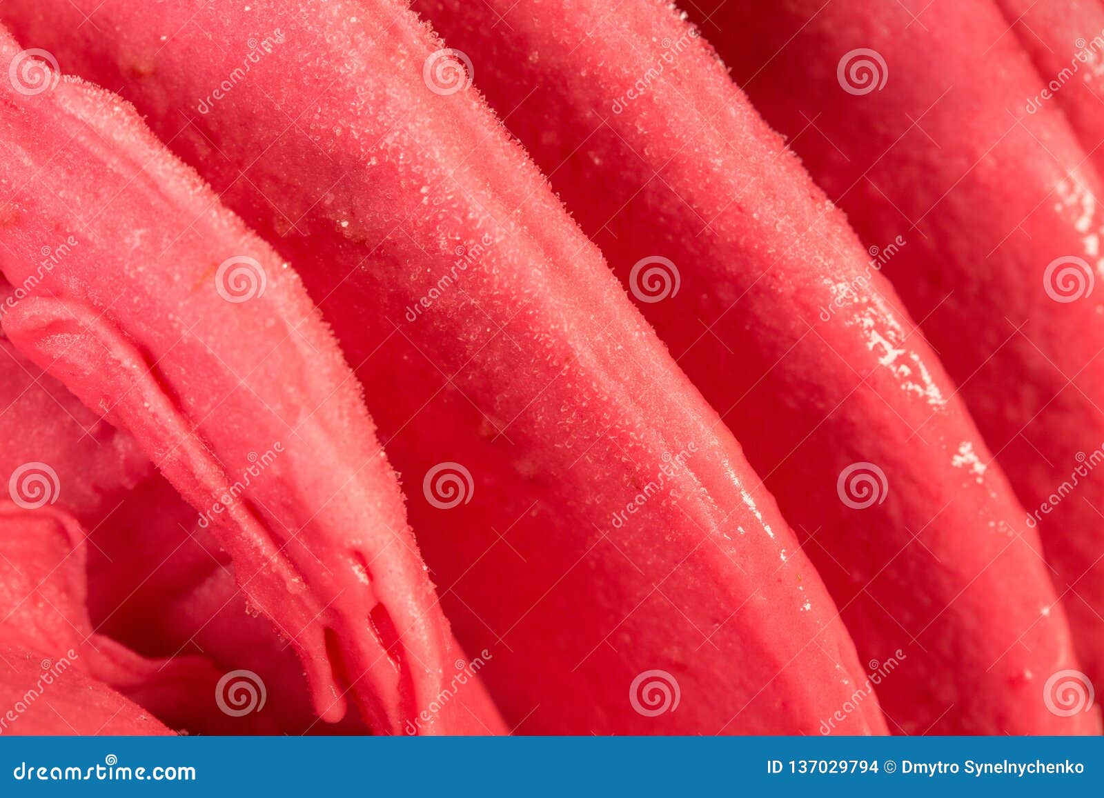 Watermelon Cherry Flavored Sorbet Texture for Your Project. Stock Photo ...