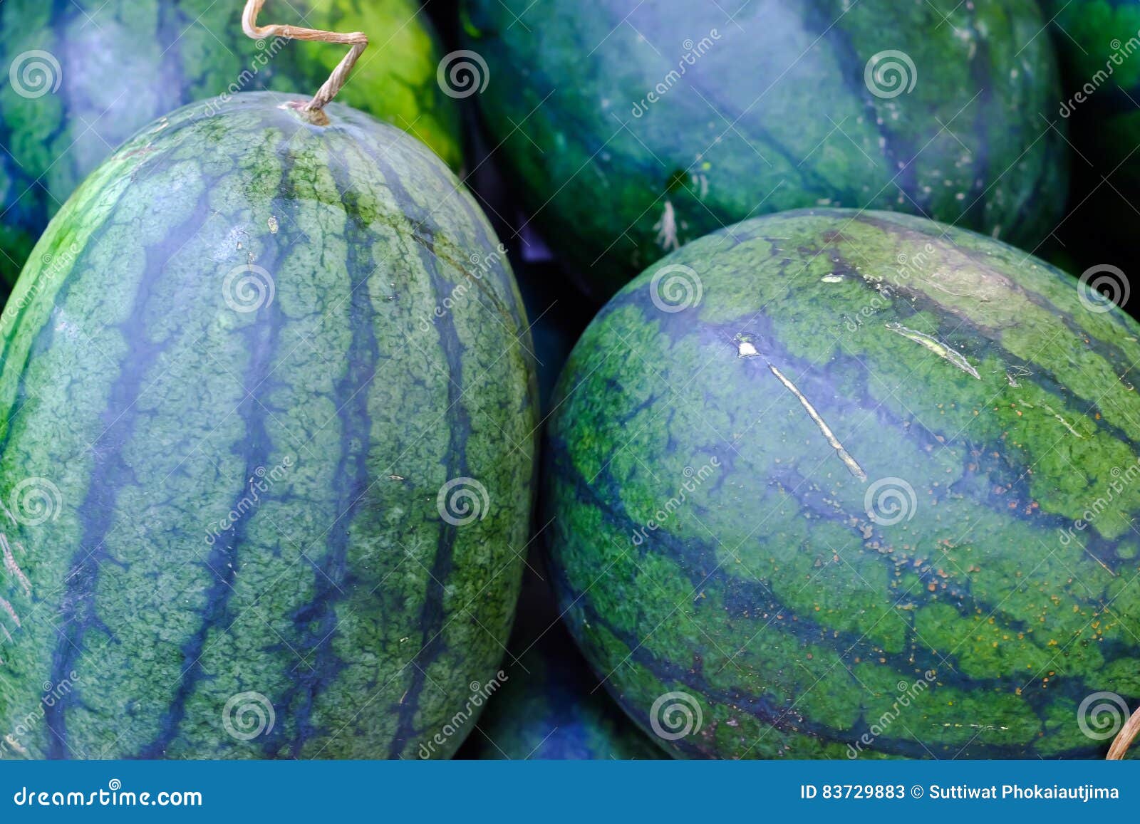 Watermelon stock image. Image of summer, watermelons - 83729883
