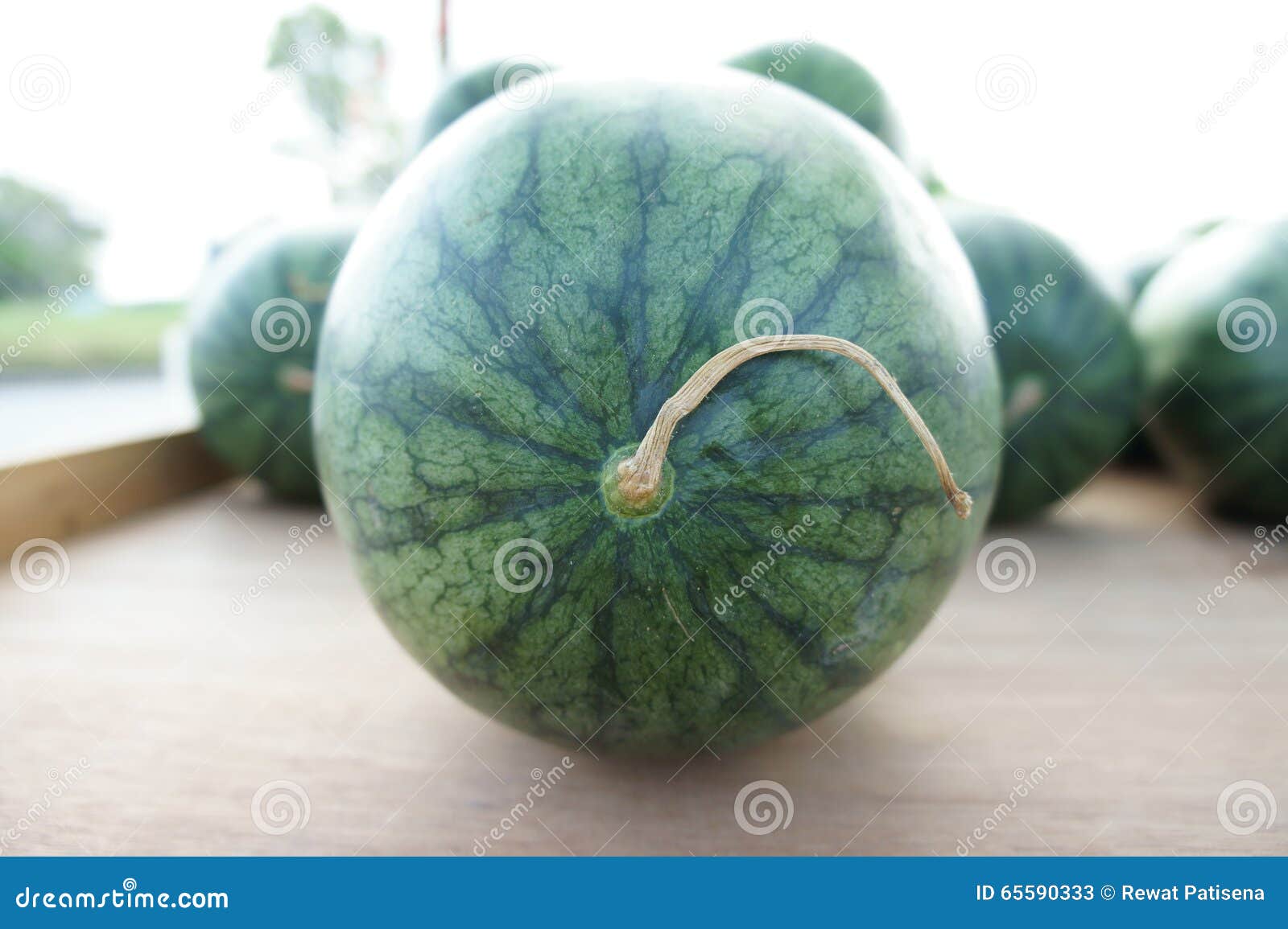 Watermelon stock image. Image of nature, fruit, circle - 65590333