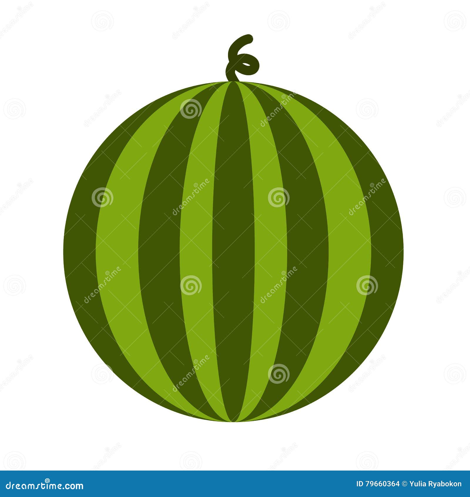 Watermelon flat icon stock vector. Illustration of painting - 79660364