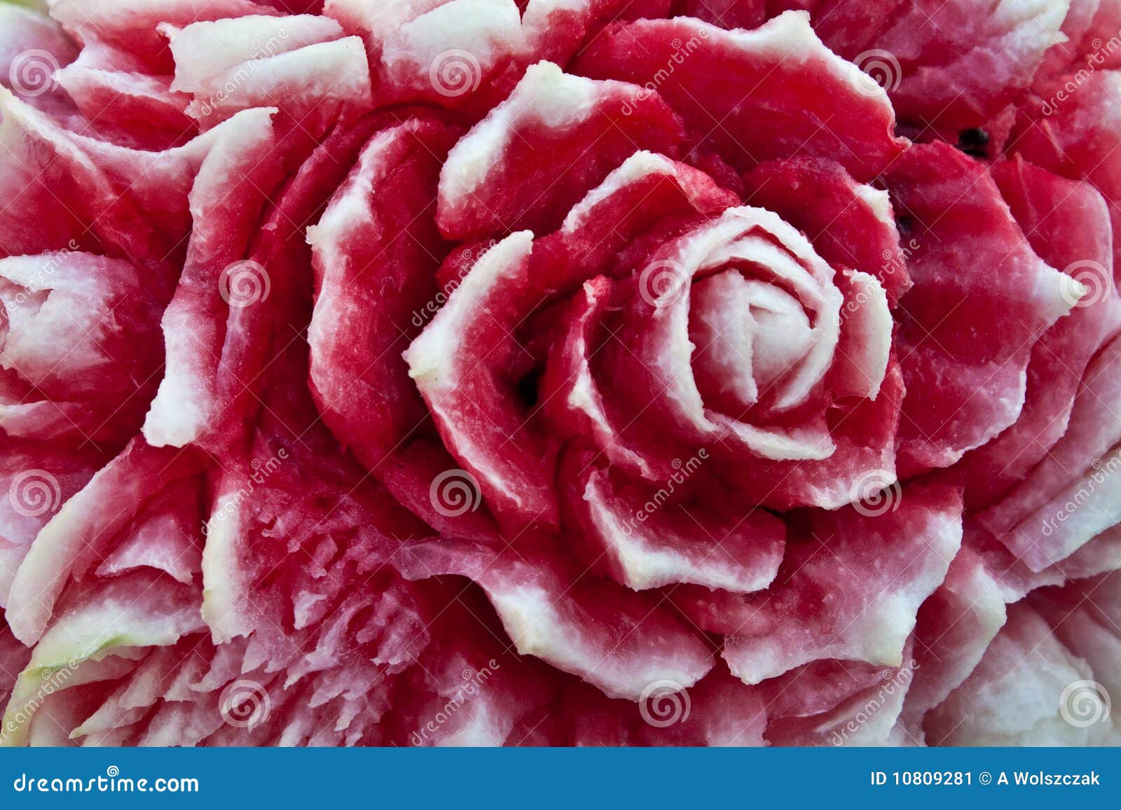 Watermelon flower art stock image. Image of snack, melon - 10809281