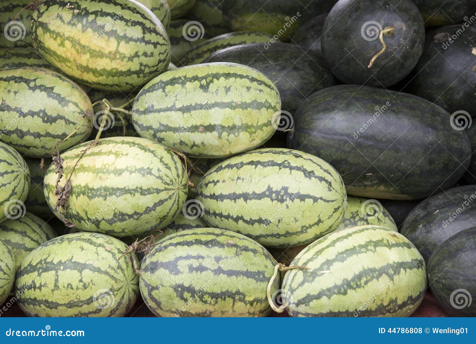 Watermelon stock photo. Image of stack, watermelon, freshness - 44786808