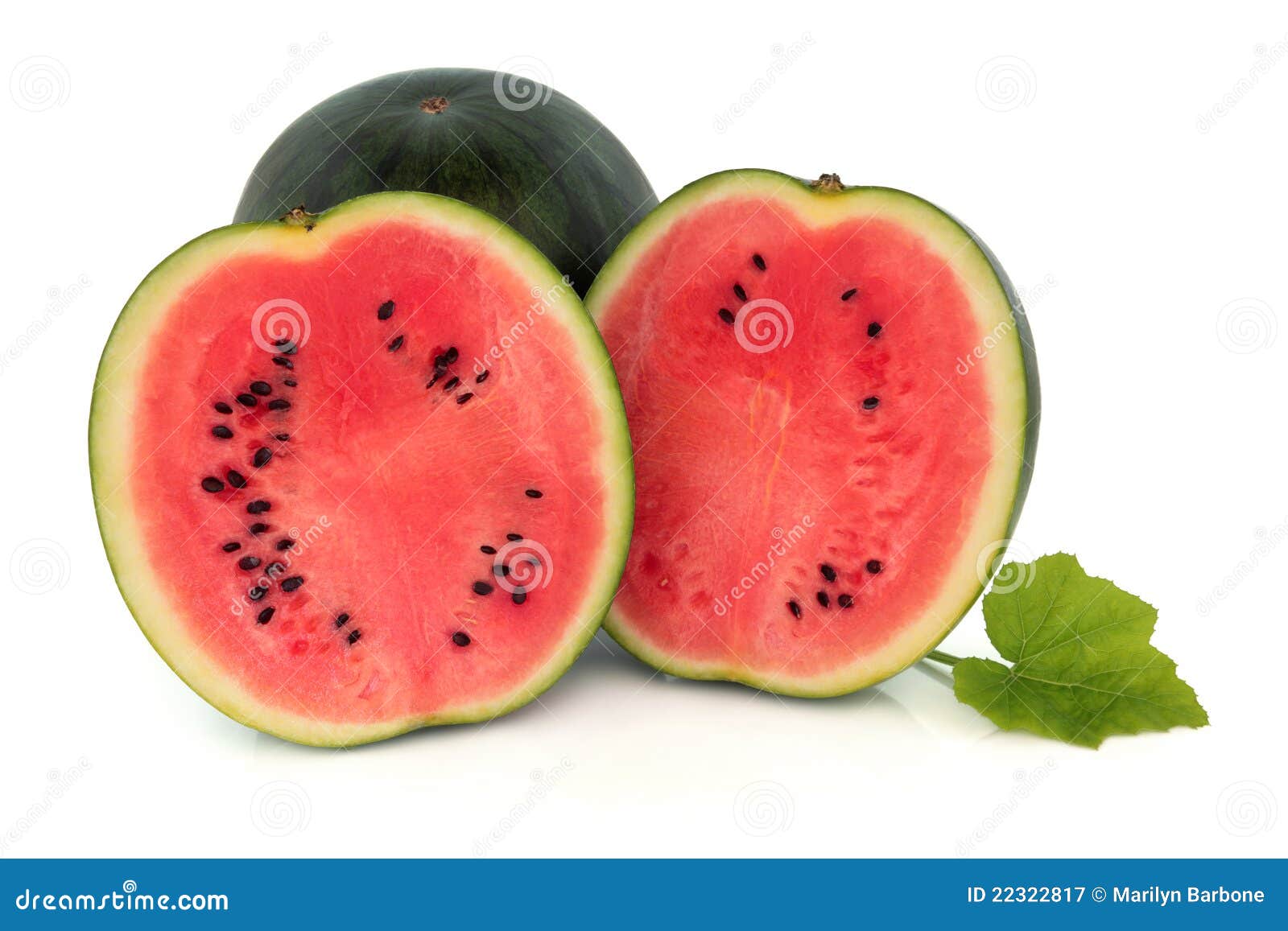 Watermelon Fruit stock image. Image of leaf, fresh, background - 22322817