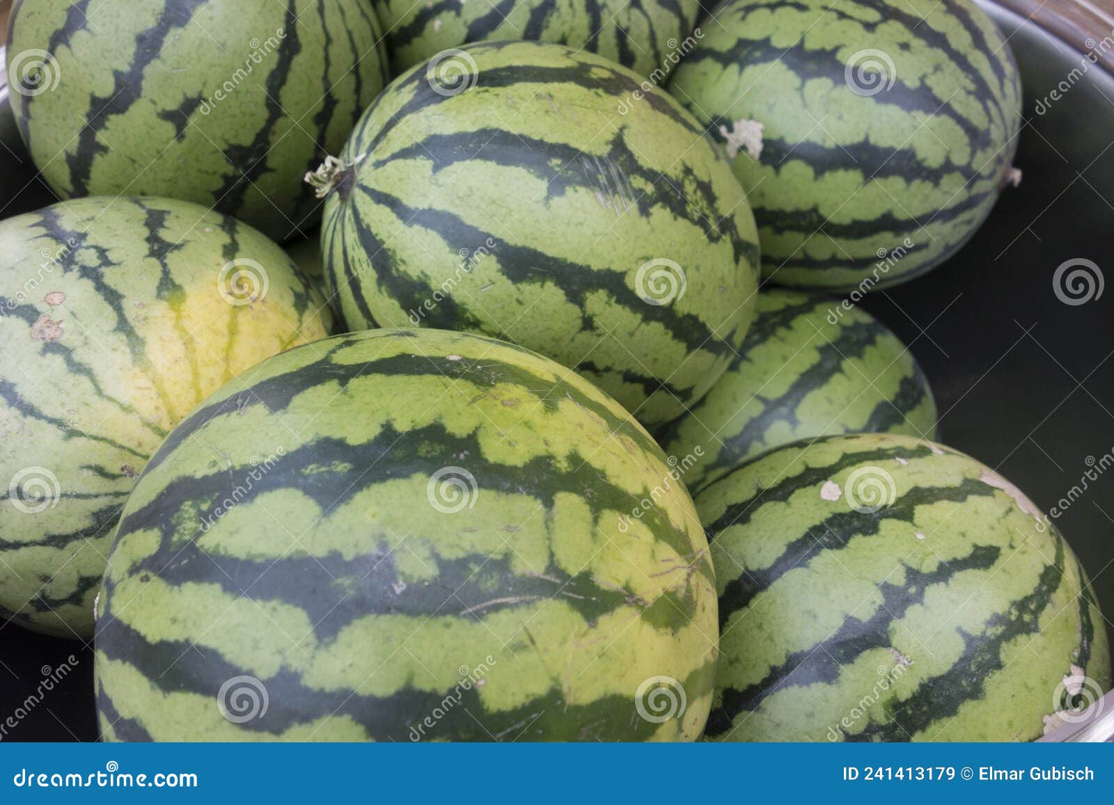 Watermelon, Fruit with a Hard and Green Rind Stock Image - Image of ...
