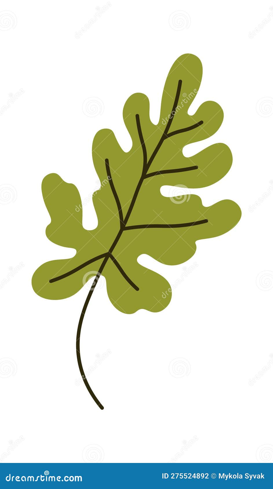 Watermelon Fruit Leaf stock vector. Illustration of summer - 275524892