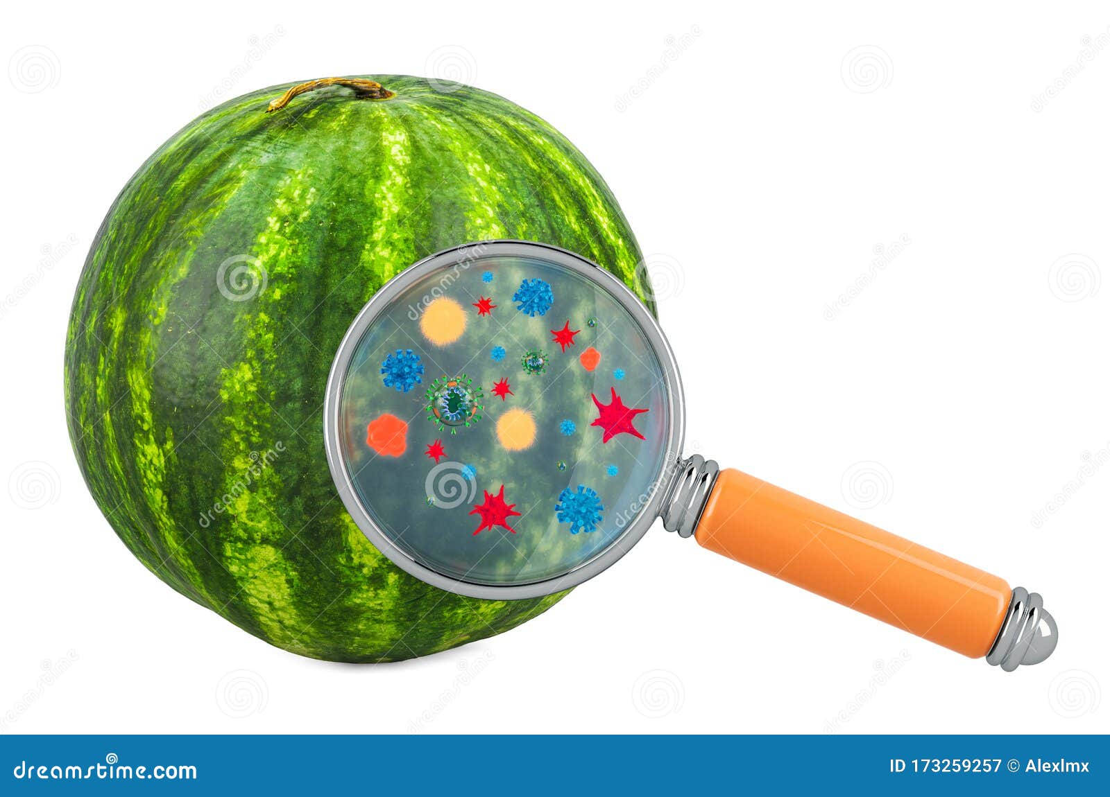 Moldy Watermelon Stock Illustrations – 1 Moldy Watermelon Stock ...