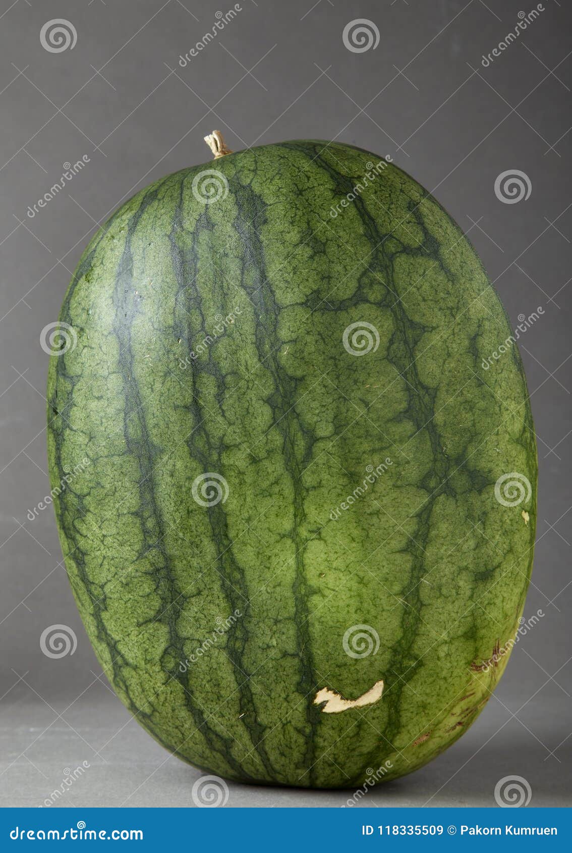 Watermelon on a Gray Background Stock Image - Image of isolated ...