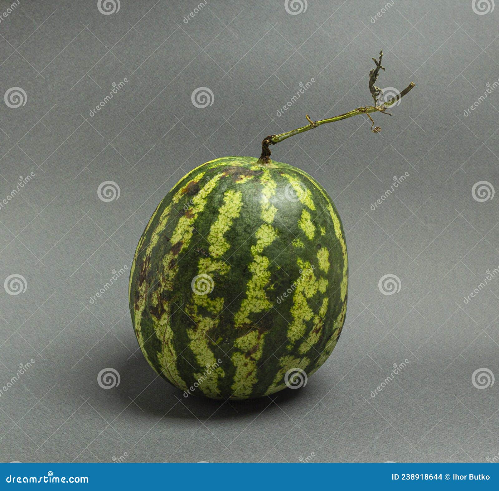 Watermelon on Grey Background Stock Photo - Image of texture, summer ...