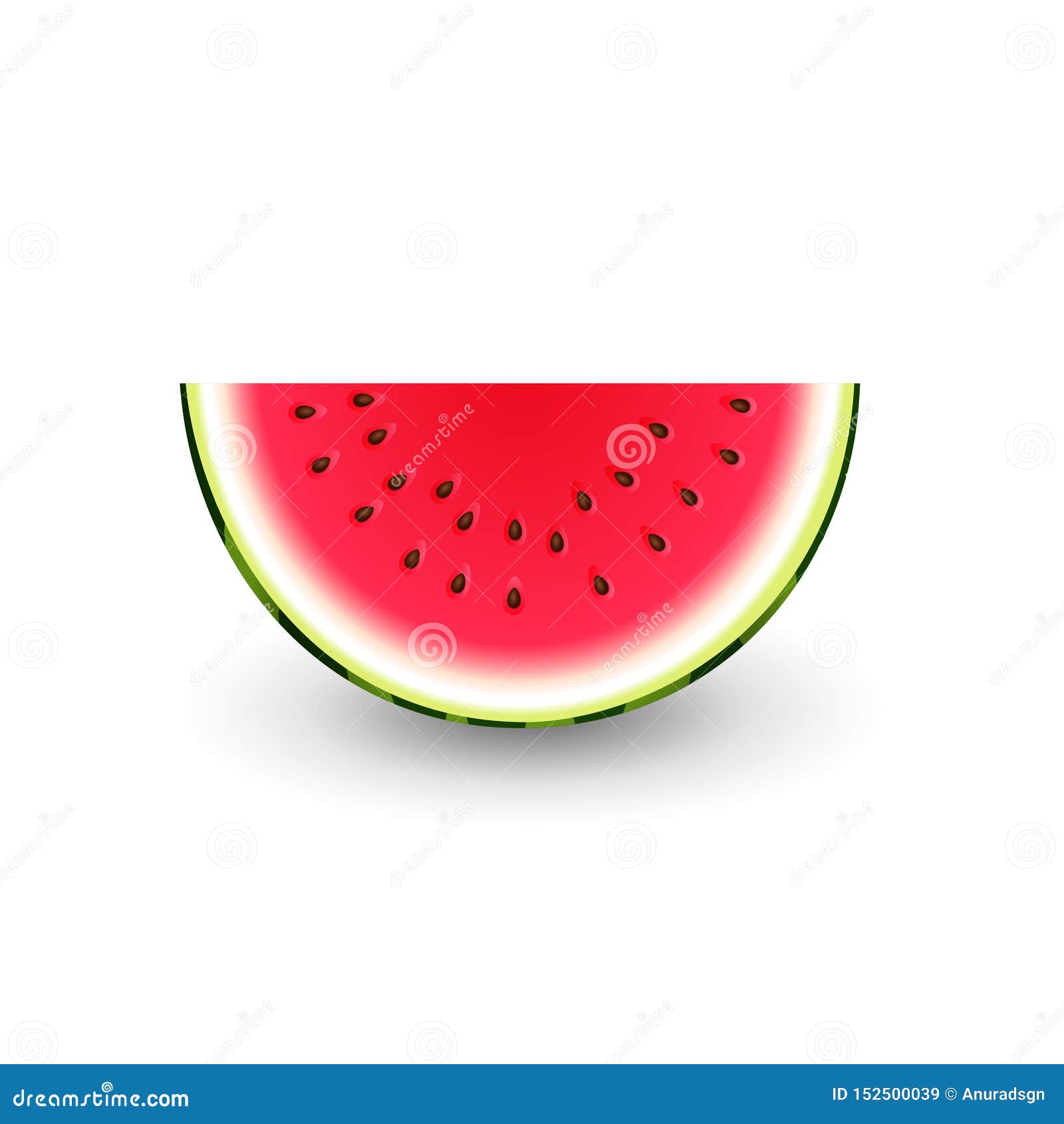 Watermelon Half Slice Isolated. Vector Illustration. Summer Symbol ...