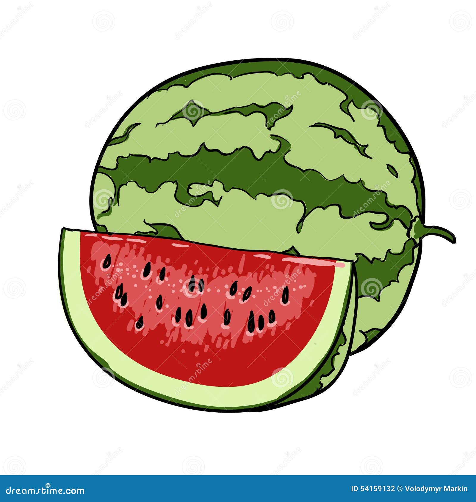 Watermelon Hand Drawn Fruits Isolated Stock Illustration - Illustration ...
