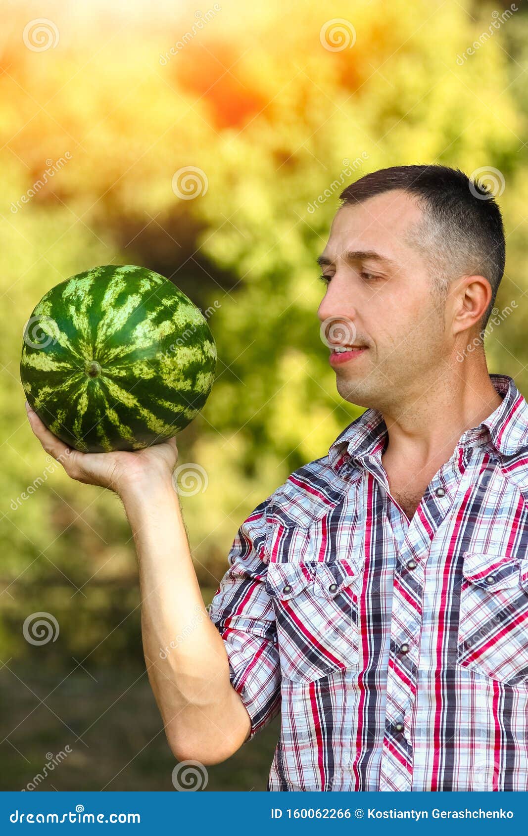 Watermelon in the Hands of a Guy on Nature in the Park Stock Photo ...