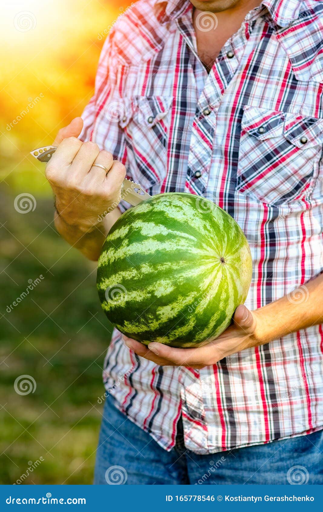 Watermelon in the Hands of a Guy on Nature in the Park Stock Photo ...
