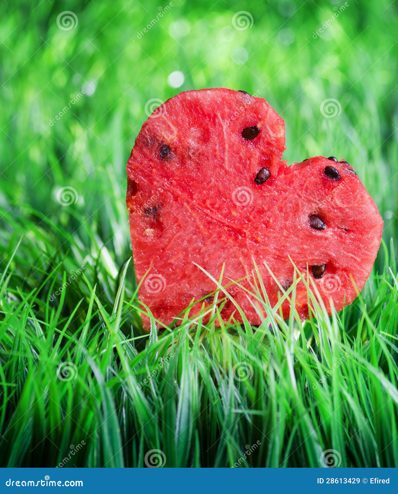 Watermelon Heart on Green Grass. Valentine Concept Stock Image - Image ...