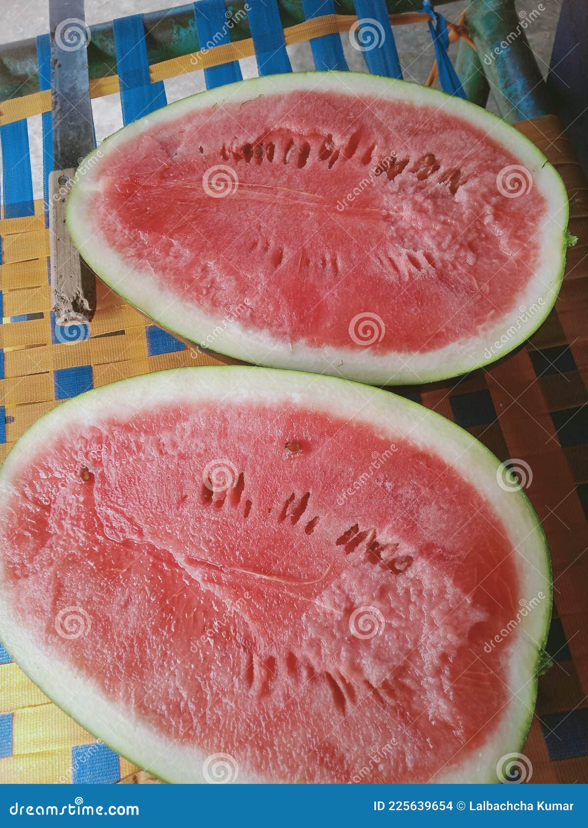 Watermelon in India stock photo. Image of citrus, tomato - 225639654