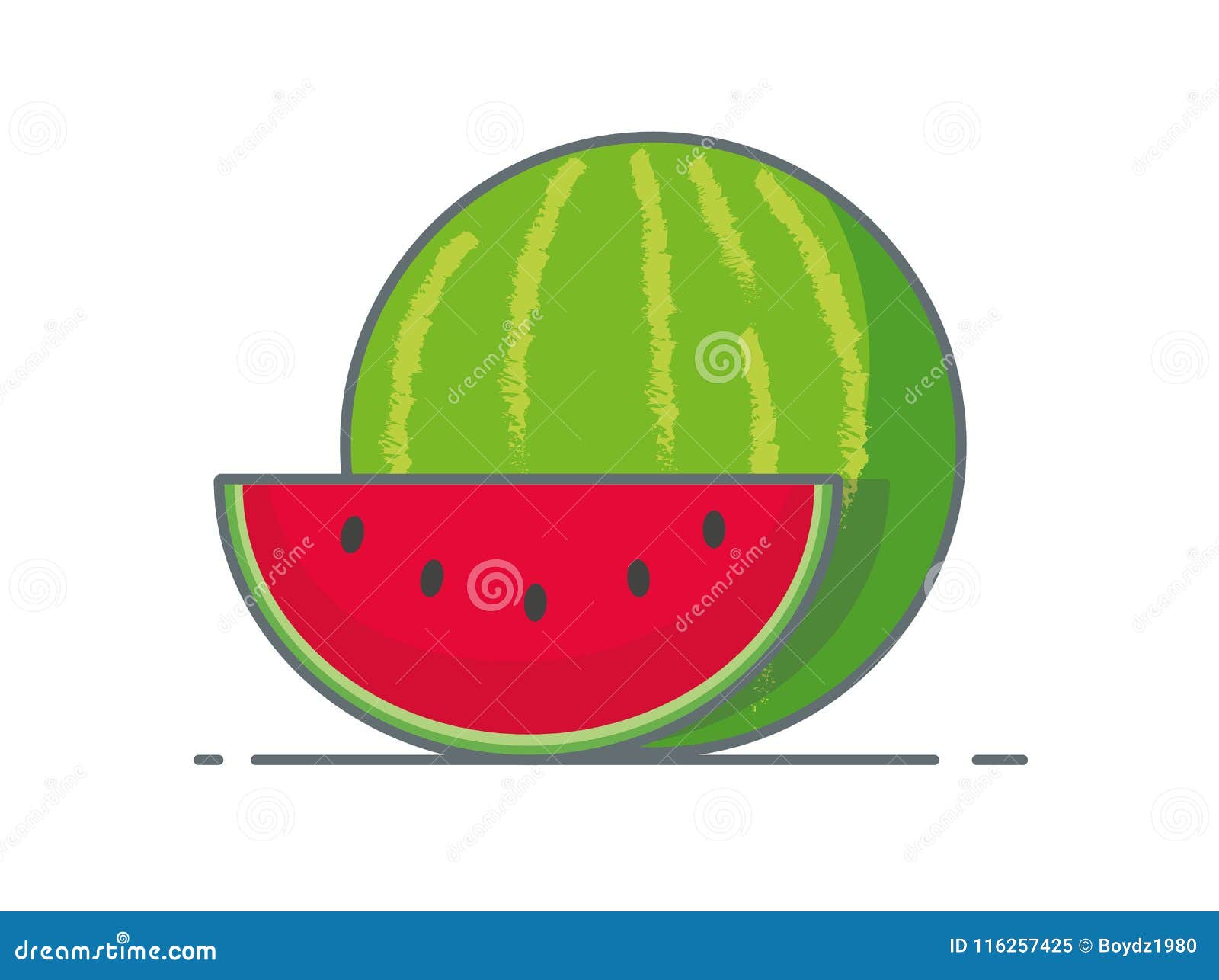 Watermelon line art stock vector. Illustration of healthy - 116257425