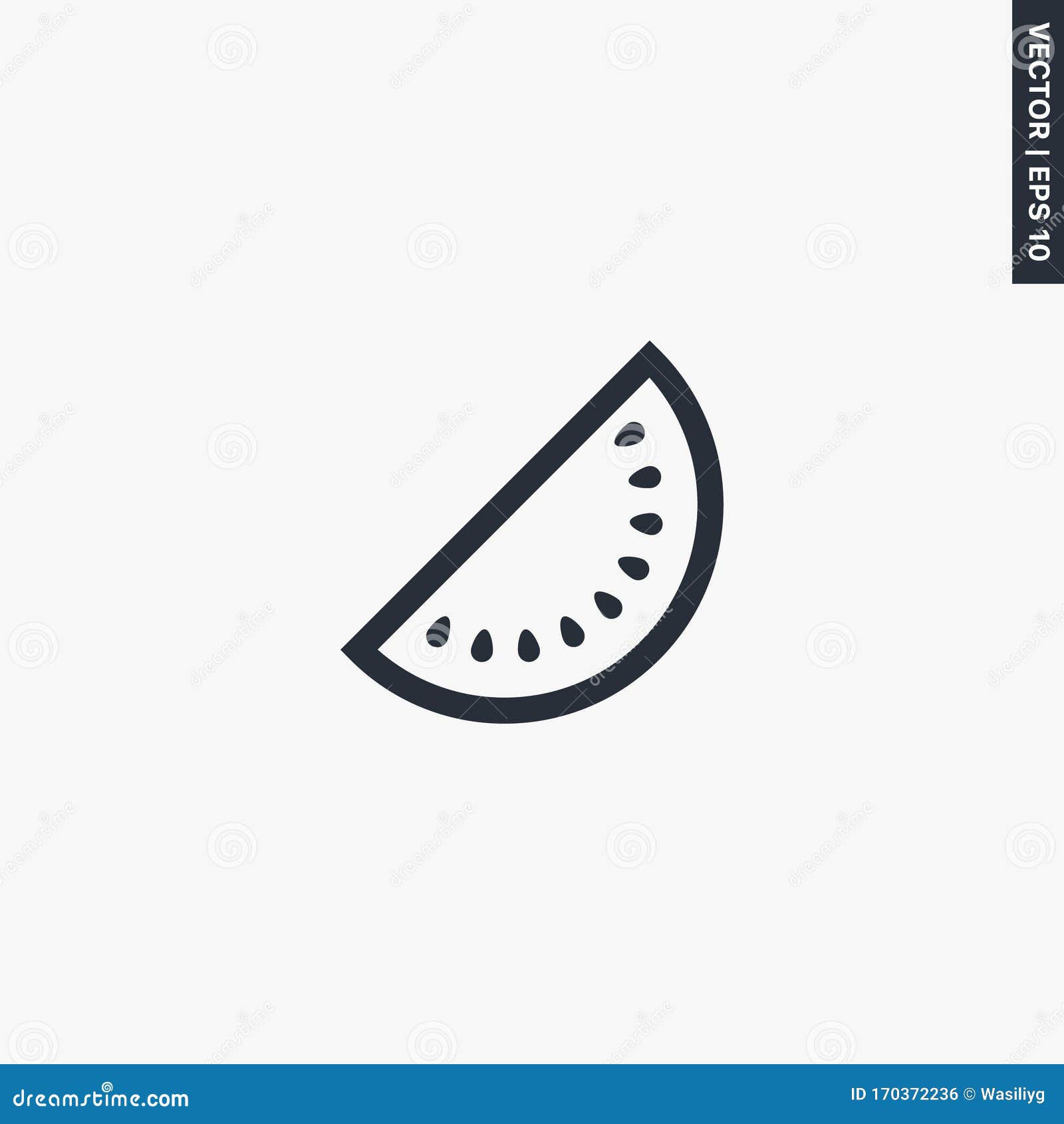 Watermelon icon stock vector. Illustration of peel, dessert - 170372236