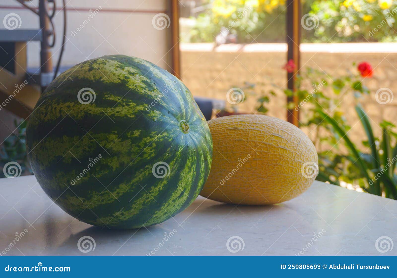 Watermelon with melon stock image. Image of background - 259805693