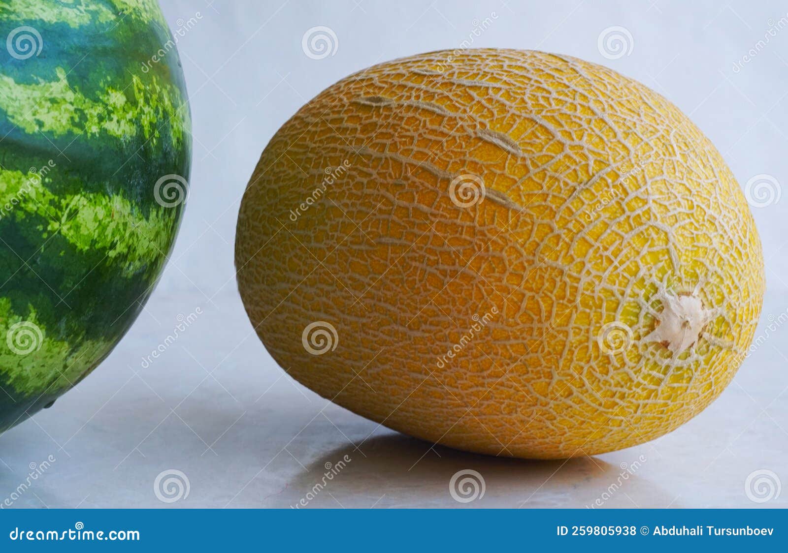 Watermelon with melon stock photo. Image of nature, melon - 259805938