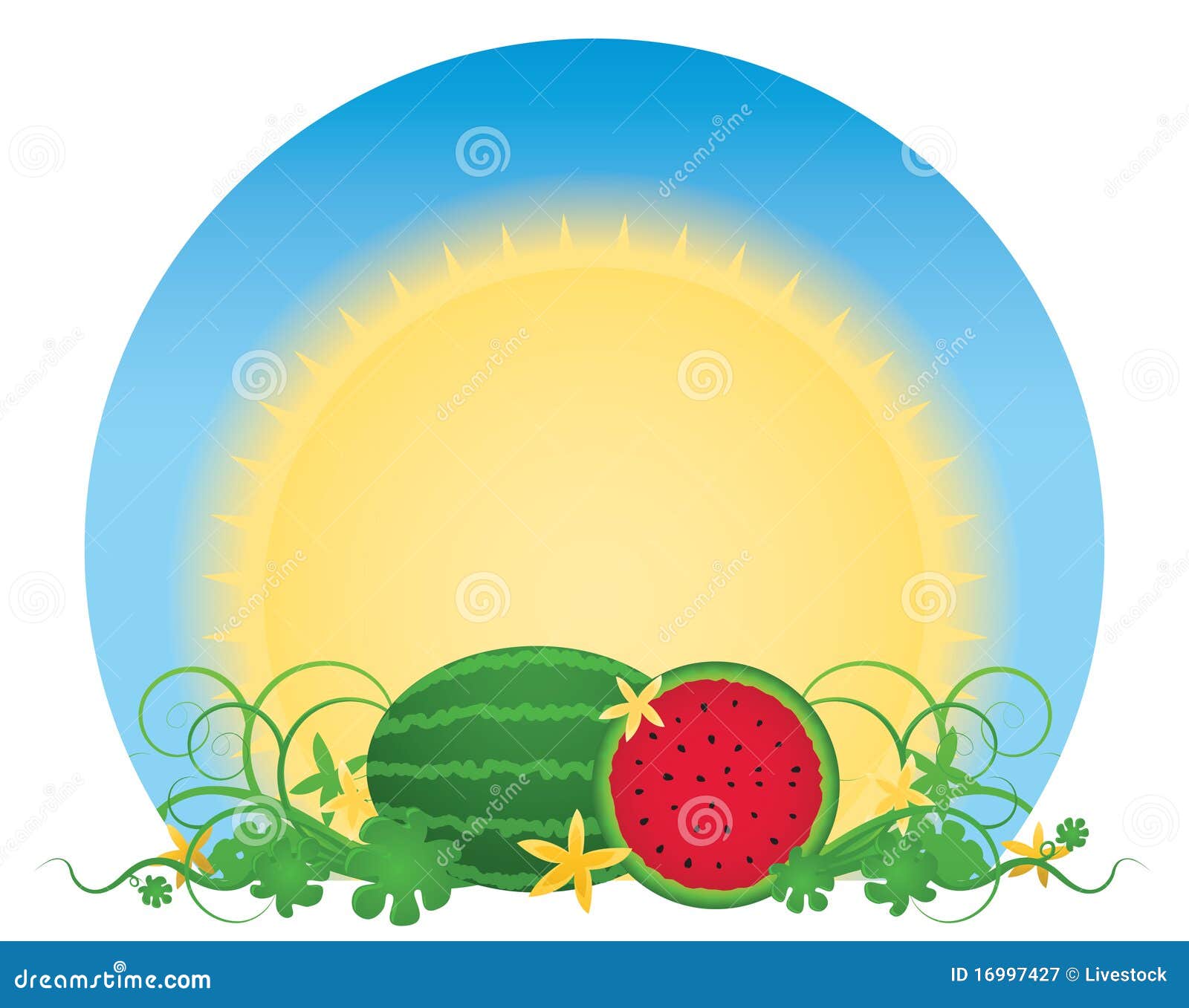 Watermelon Patch stock vector. Illustration of garden - 16997427