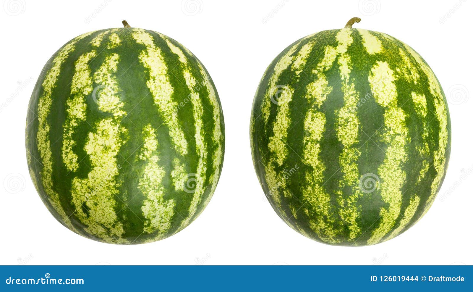 Watermelon stock photo. Image of isolated, side, healthy - 126019444
